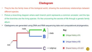 unit 1Insect Phylogeny and Systematics Evolutionary classification: the ...
