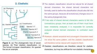 Mayer and Ashlock (1991) recognize three schools of classification. 1 ...