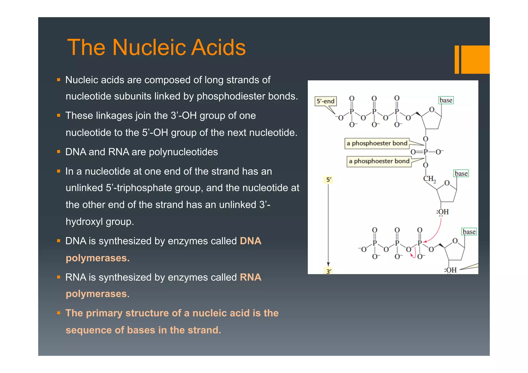 Unit i bio organic chemistry | PDF