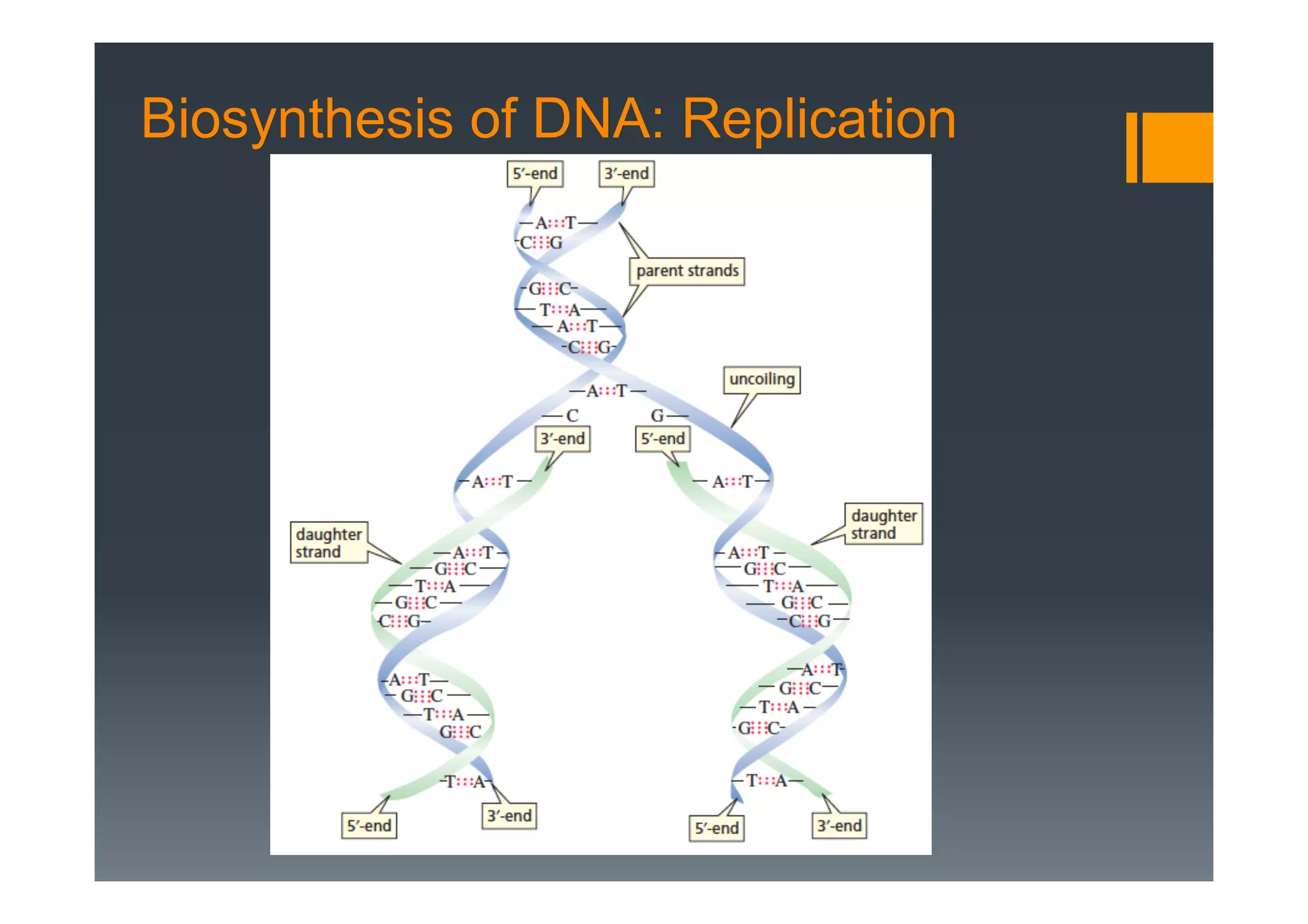 Unit i bio organic chemistry | PDF