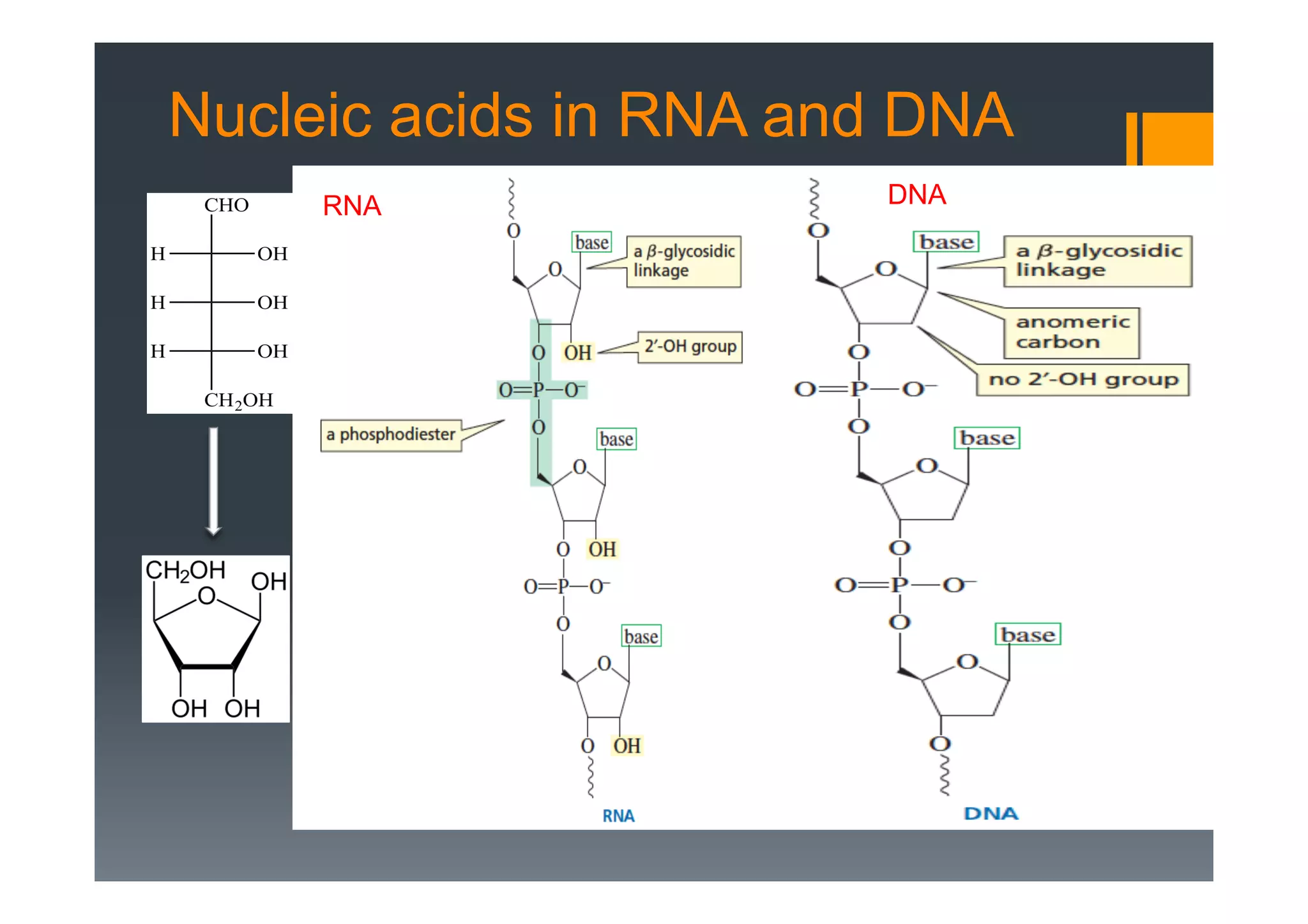 Unit i bio organic chemistry | PDF