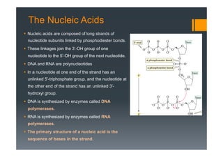 Unit i bio organic chemistry | PDF