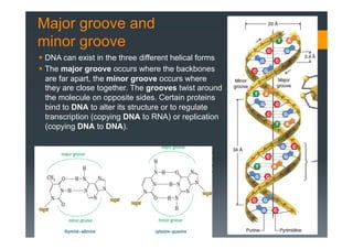 Unit i bio organic chemistry | PDF