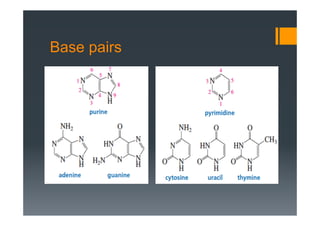 Unit i bio organic chemistry | PDF