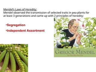 Unit I - Genetics role of mendelian principles | PPT