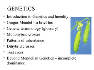 Unit I - Genetics role of mendelian principles | PPT
