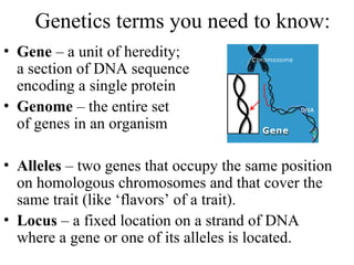 Unit I - Genetics role of mendelian principles | PPT