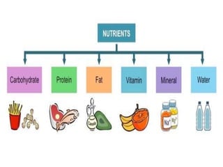 Introduction to Nutrition | PPTX