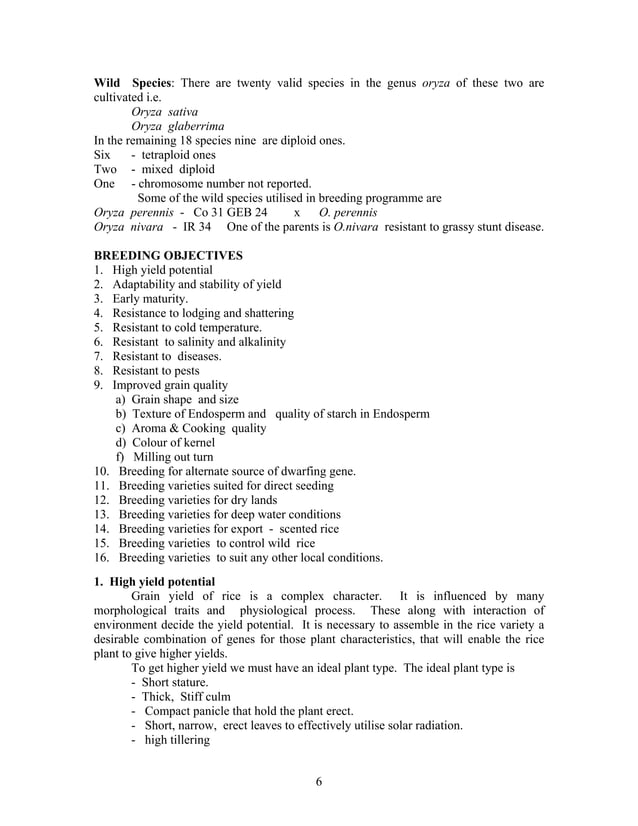 origin of rice | PDF | Agriculture | Industries