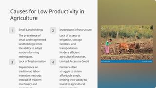 Unit I Agriculture economy of india.pptx