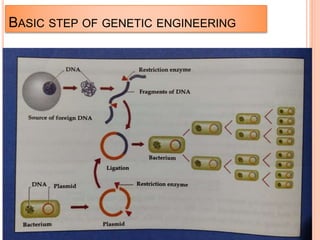 Basic principal of genetic engineering | PPTX