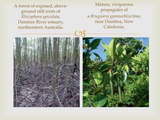 Eco Systems and their relation with tourism | PPT