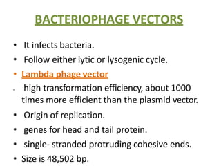 CLONING VECTOR | PPTX