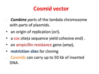 CLONING VECTOR | PPTX