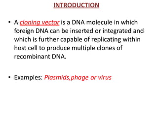 CLONING VECTOR | PPTX