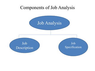Unit II - job analysis,job design, recruitment and selection | PPTX