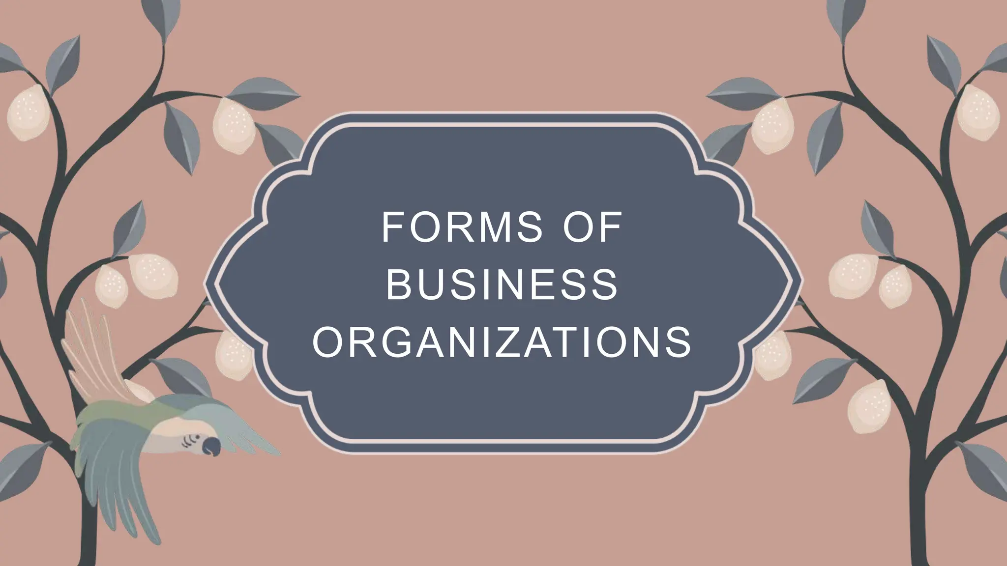 Forms of Business Organization - Unit 11 | PPT | Free Download