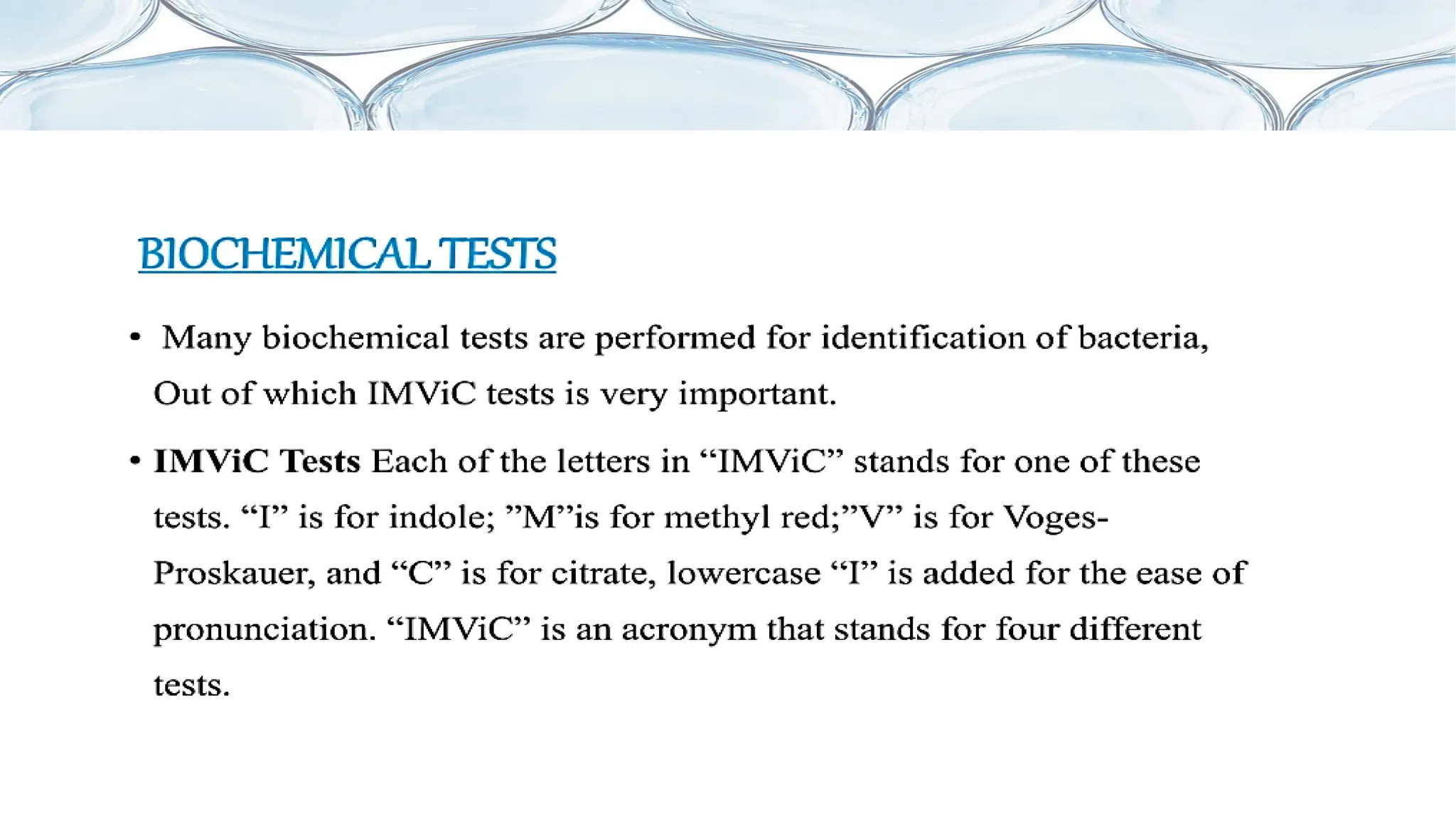 Identification of Bacteria | PPT