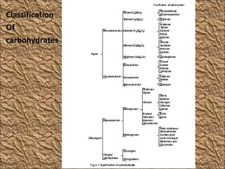 Unit ii carbohydrates | PPT