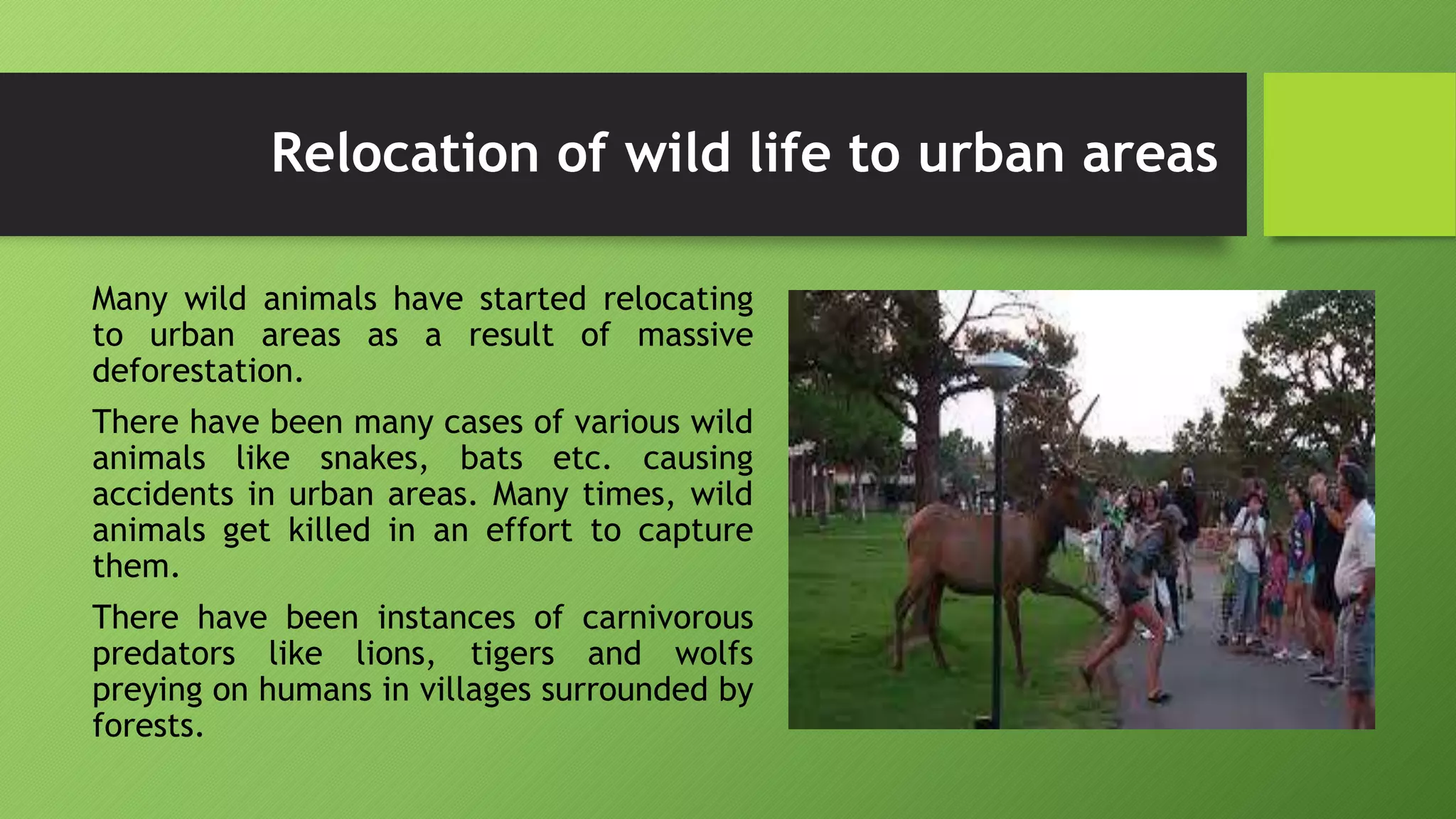 UNIT II - DEFORESTATION.pptx