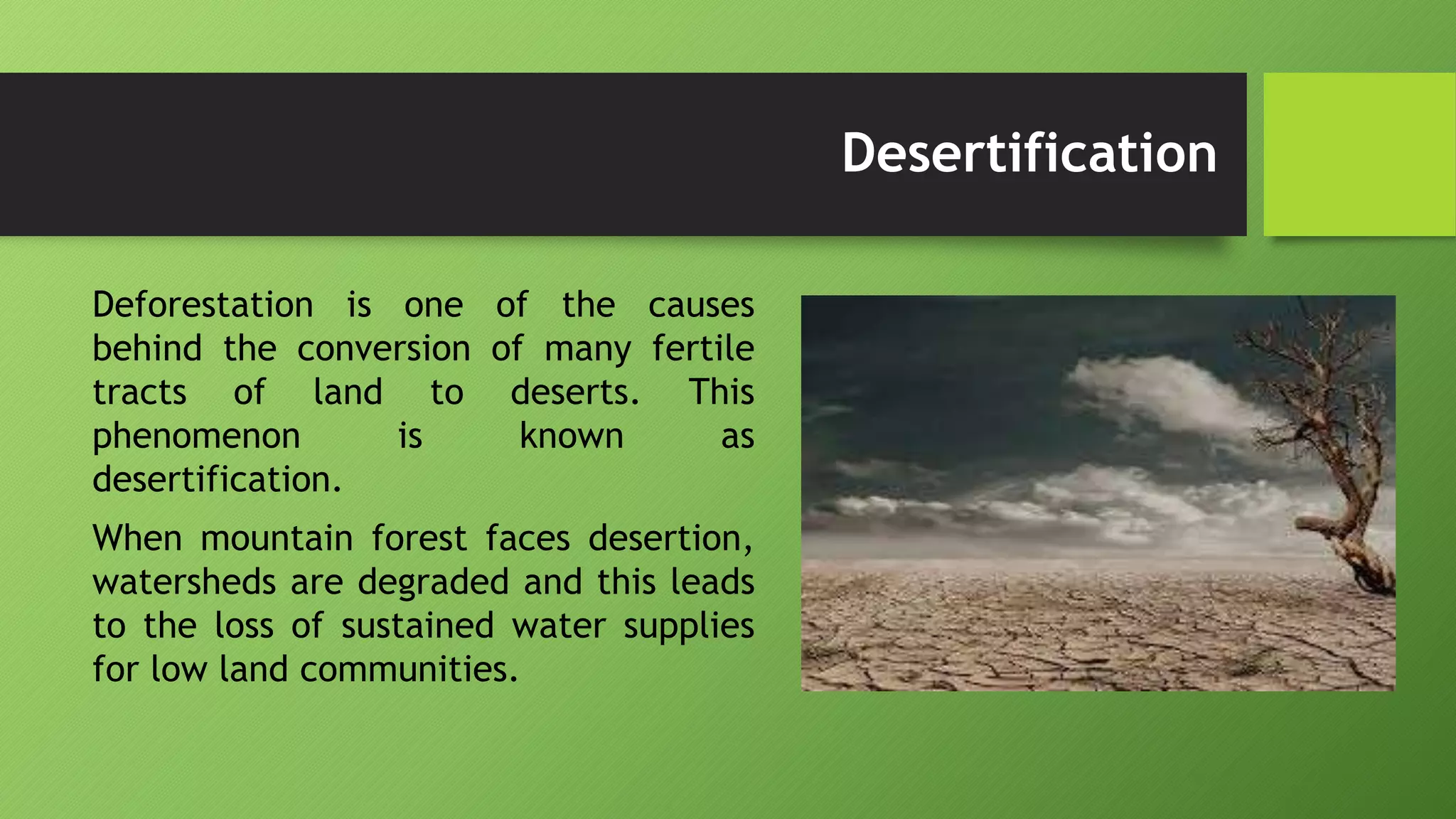 UNIT II - DEFORESTATION.pptx