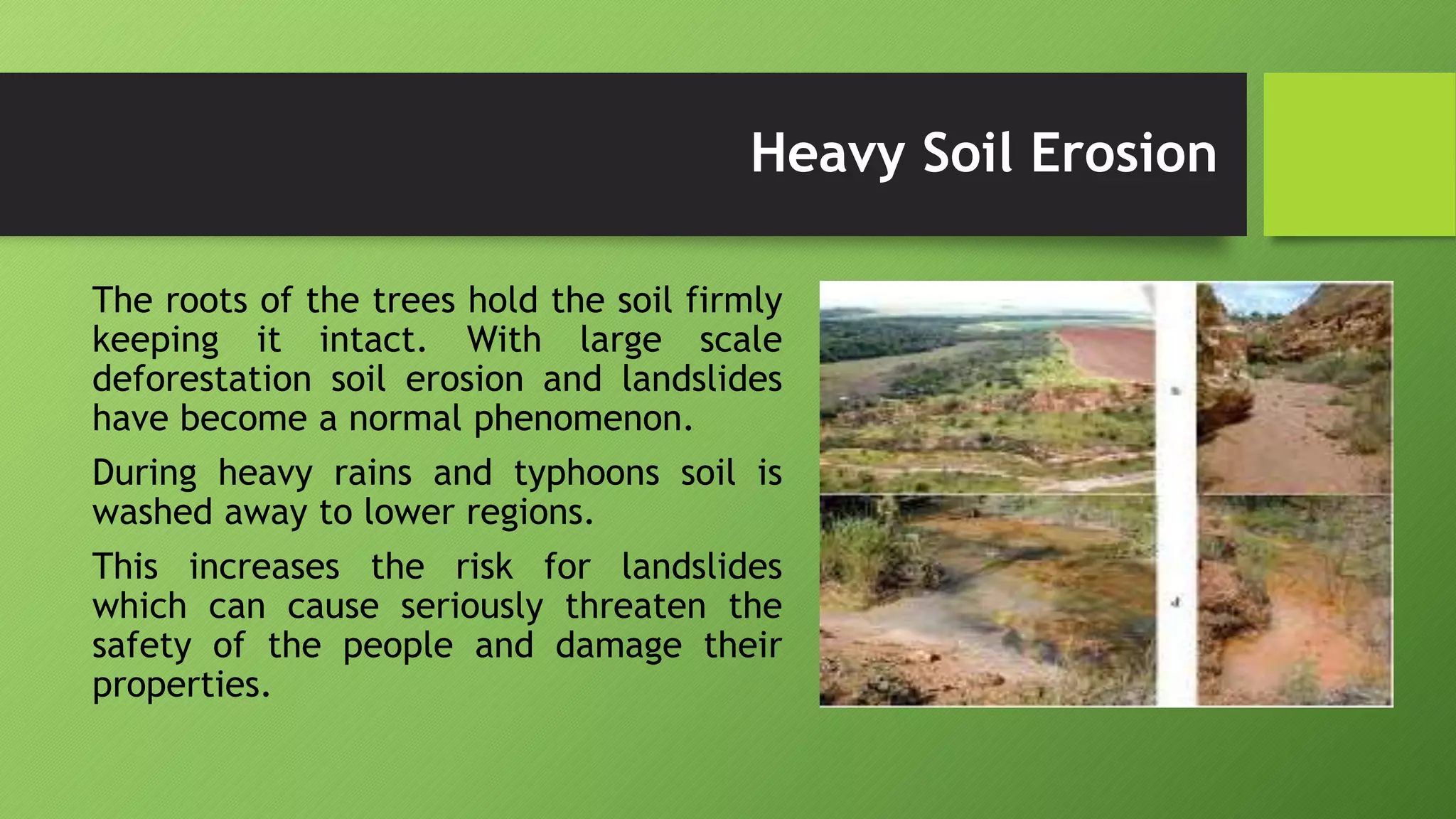 UNIT II - DEFORESTATION.pptx
