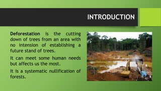 UNIT II - DEFORESTATION.pptx