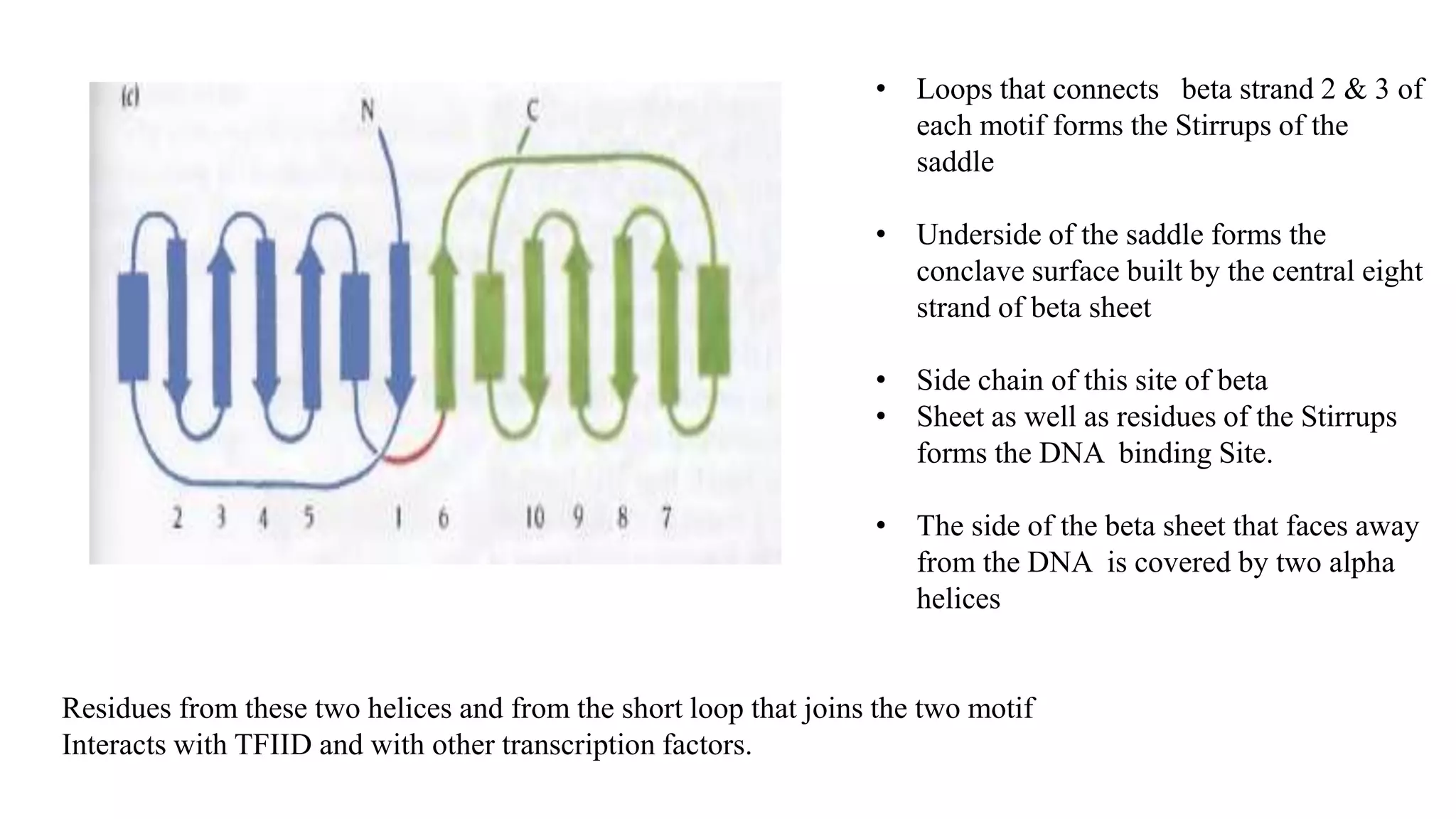 Unit II -examples of protein sec.structure.pptx