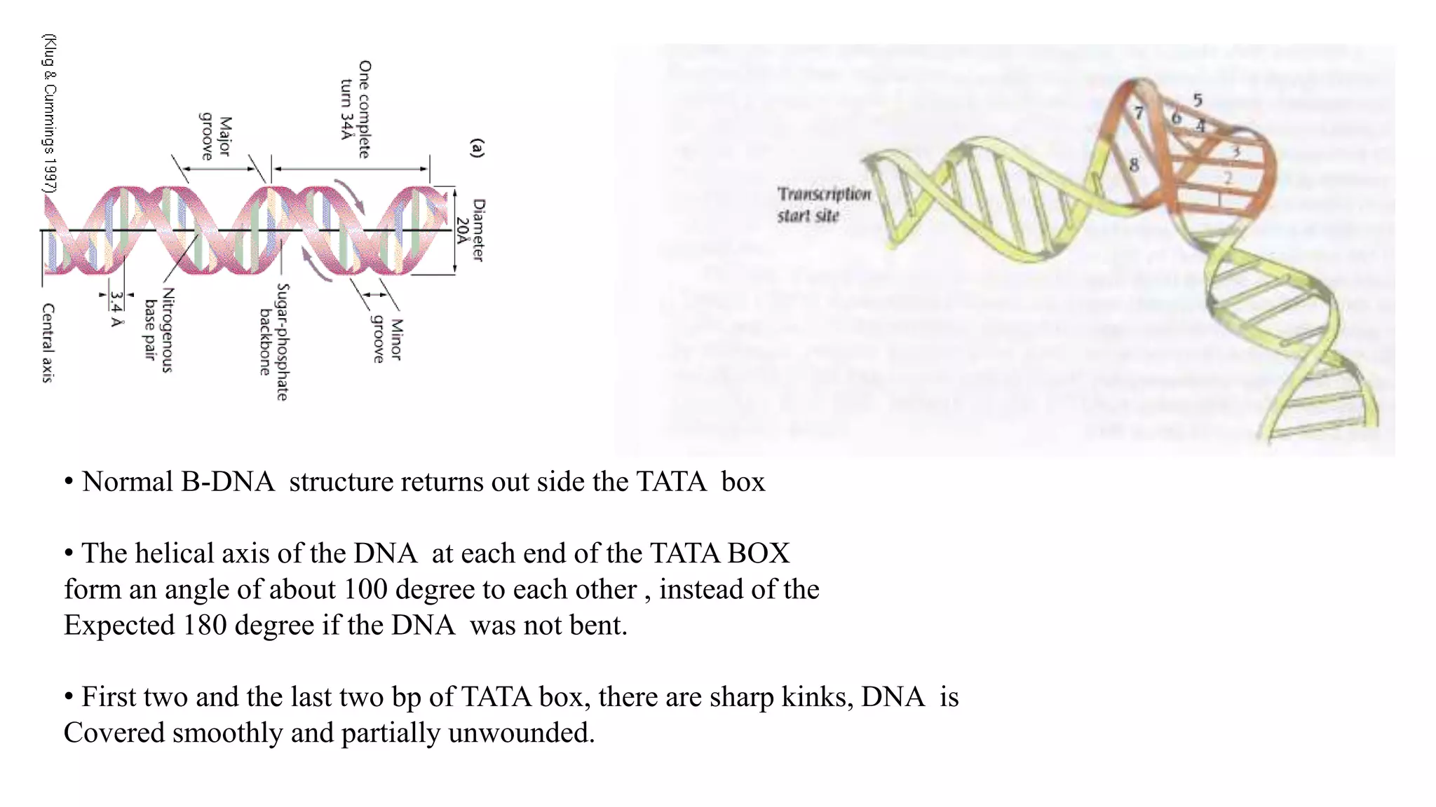 Unit II -examples of protein sec.structure.pptx