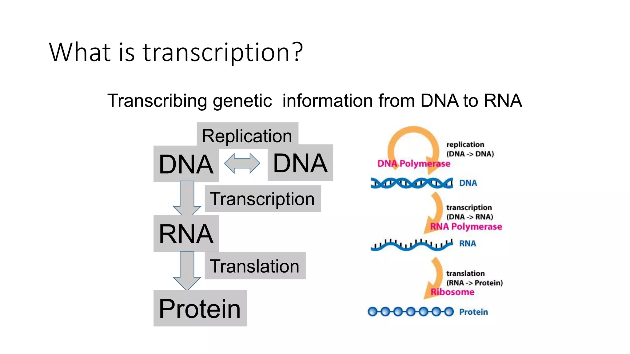 Unit II -examples of protein sec.structure.pptx