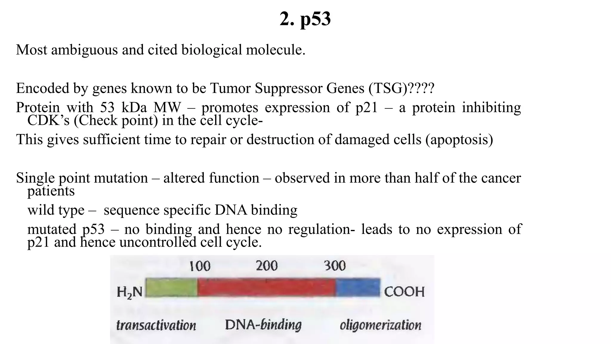Unit II -examples of protein sec.structure.pptx