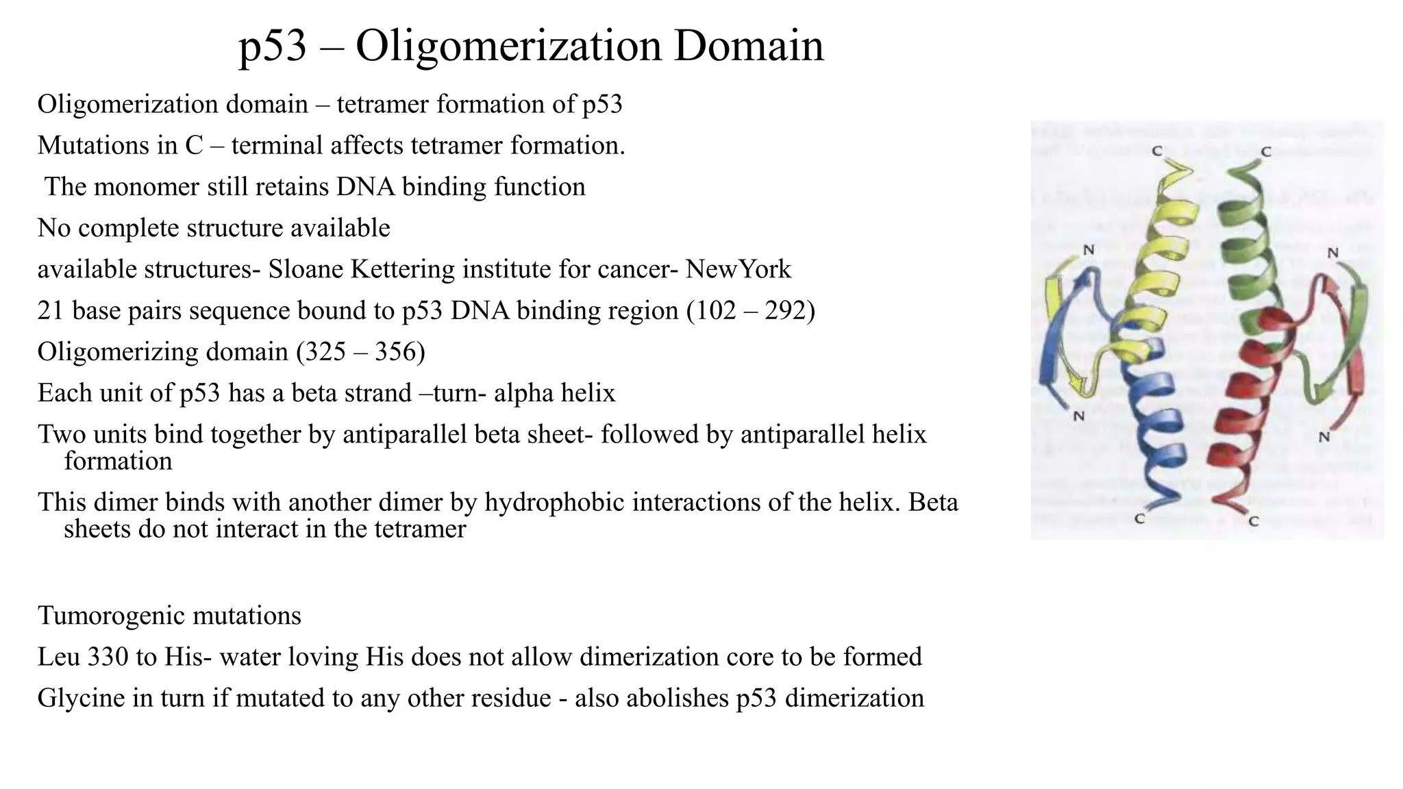 Unit II -examples of protein sec.structure.pptx