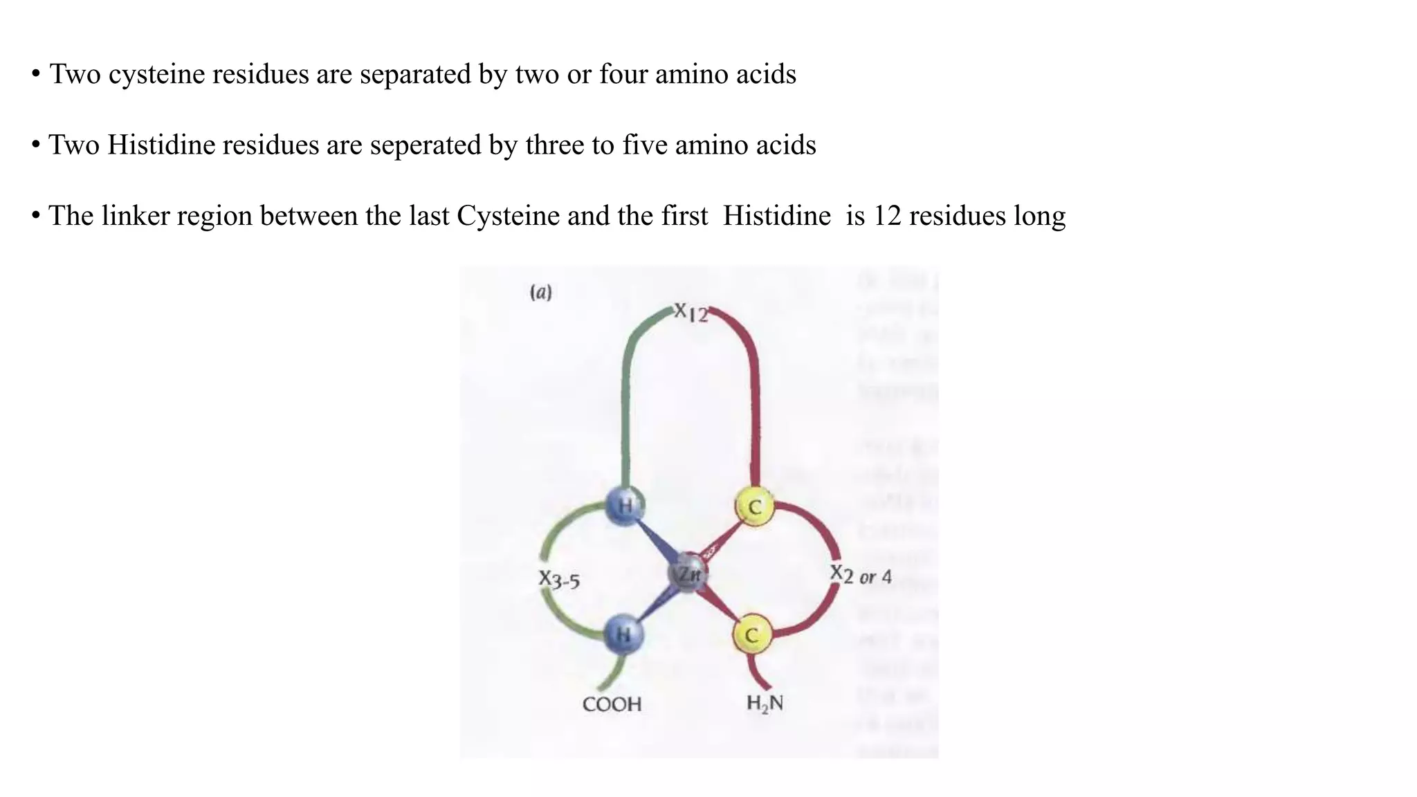 Unit II -examples of protein sec.structure.pptx