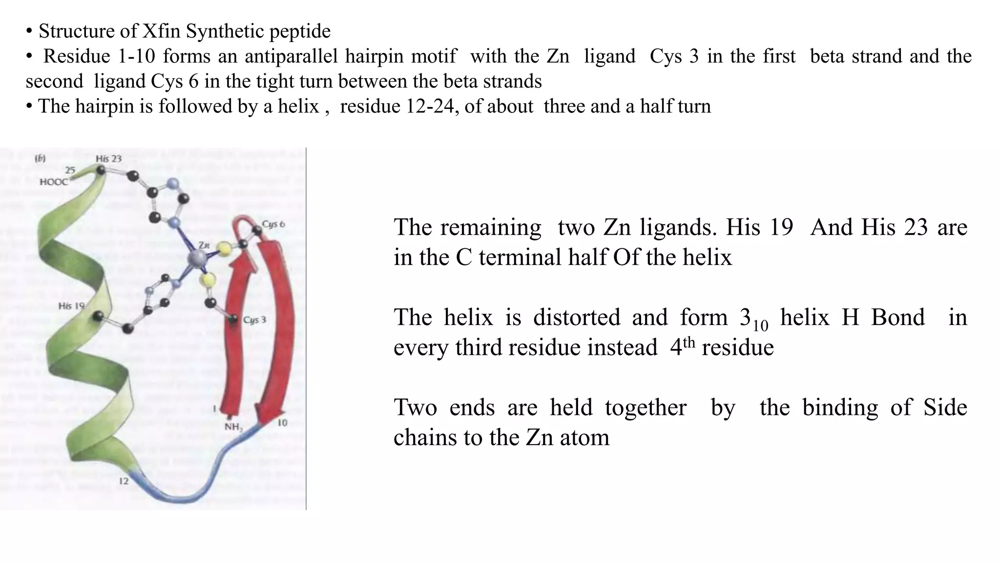 Unit II -examples of protein sec.structure.pptx