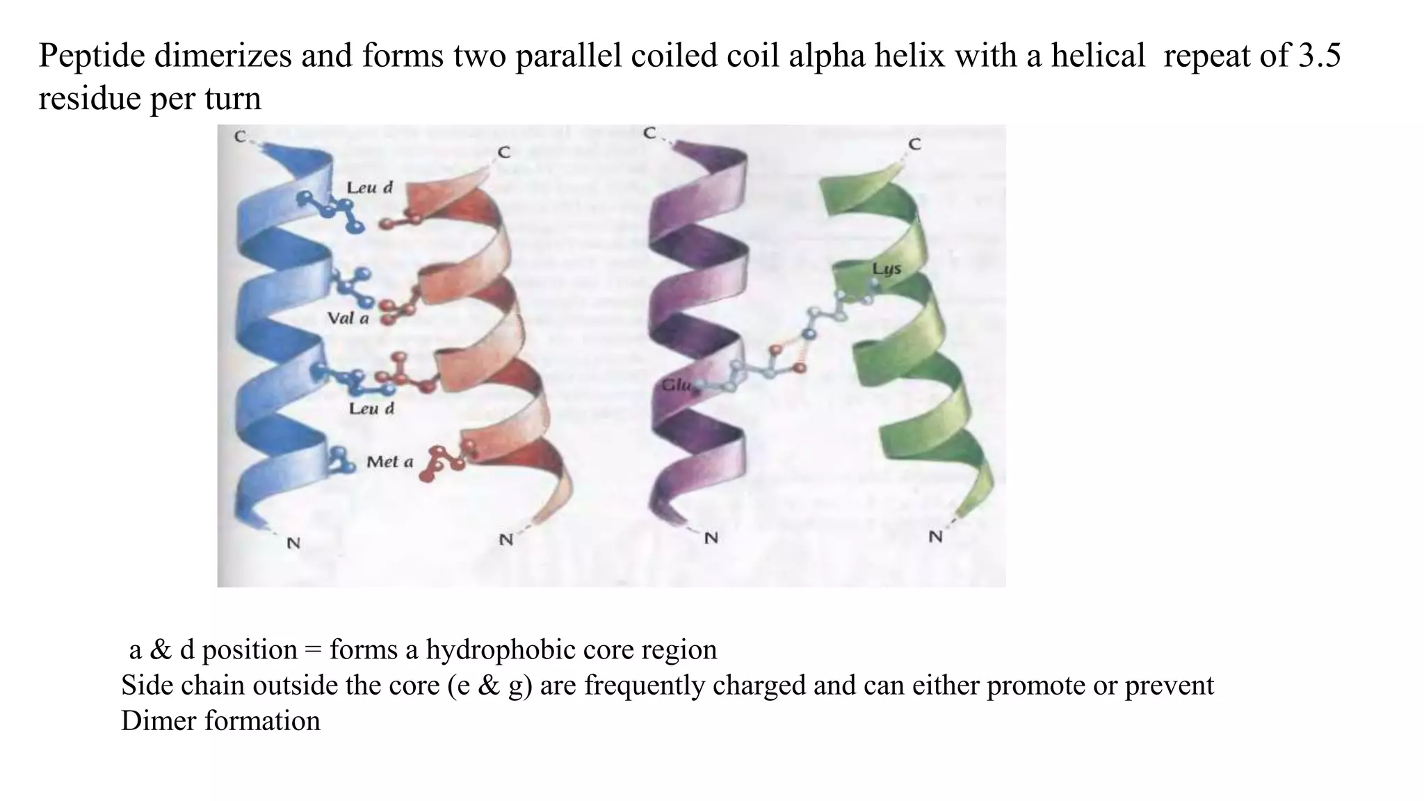 Unit II -examples of protein sec.structure.pptx