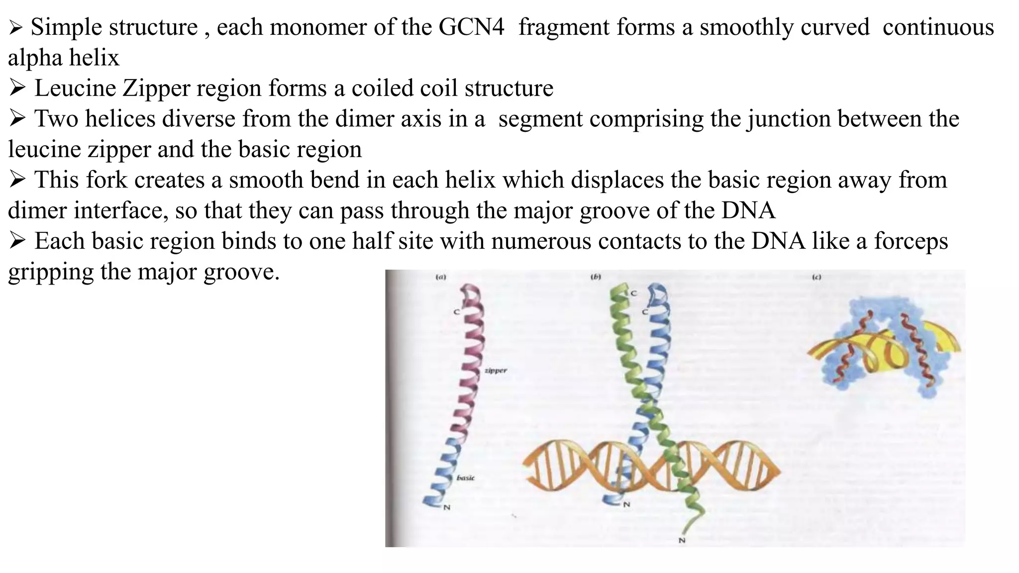 Unit II -examples of protein sec.structure.pptx