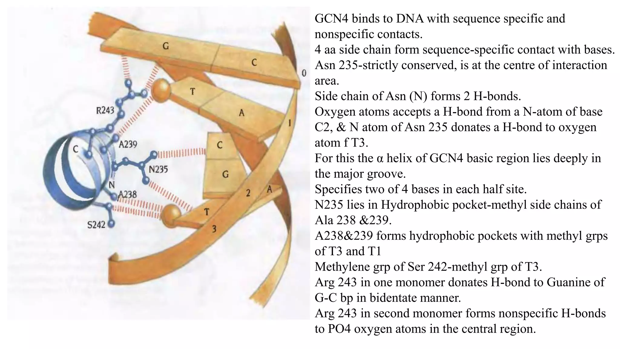 Unit II -examples of protein sec.structure.pptx