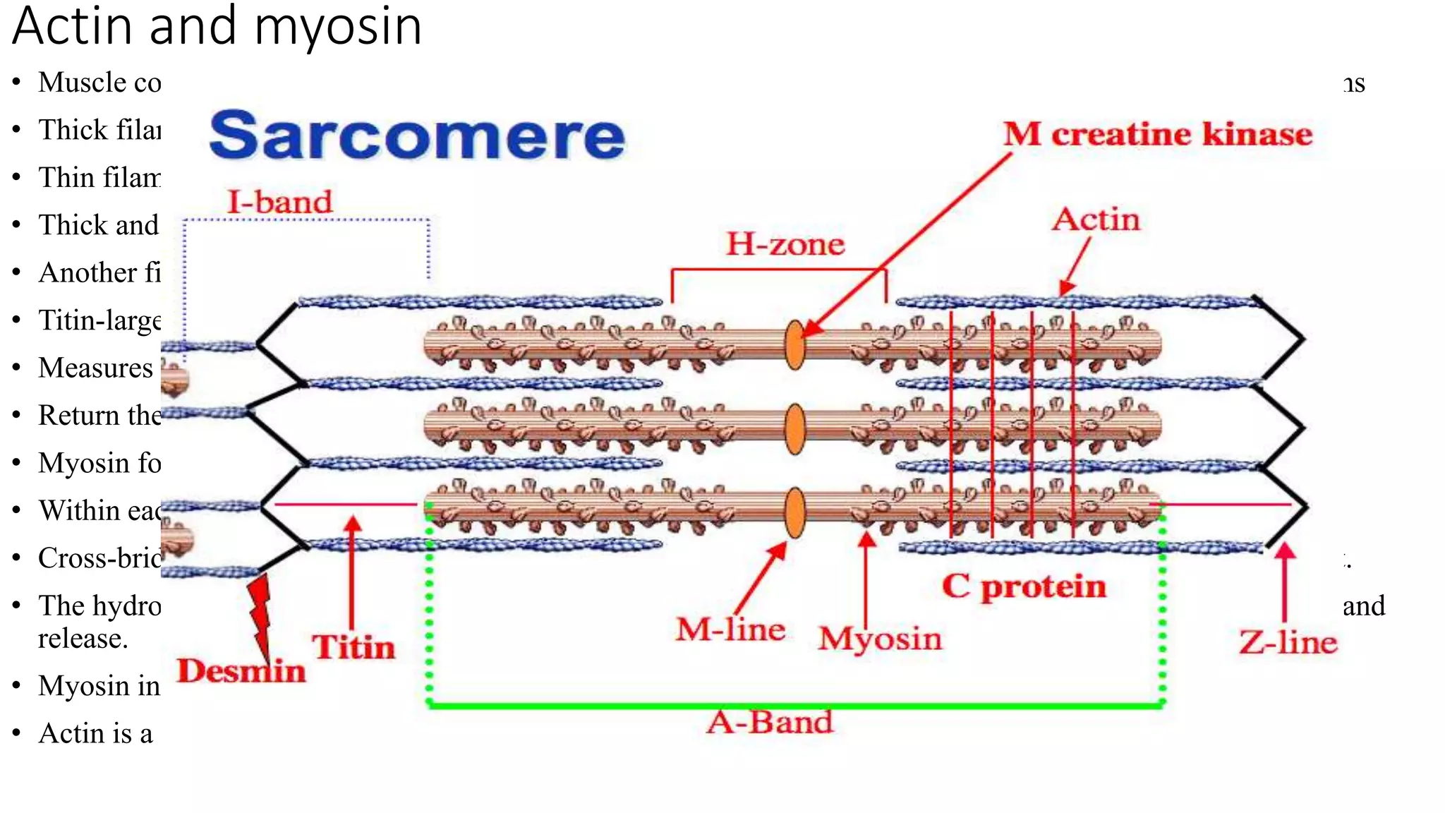 Unit II -examples of protein sec.structure.pptx