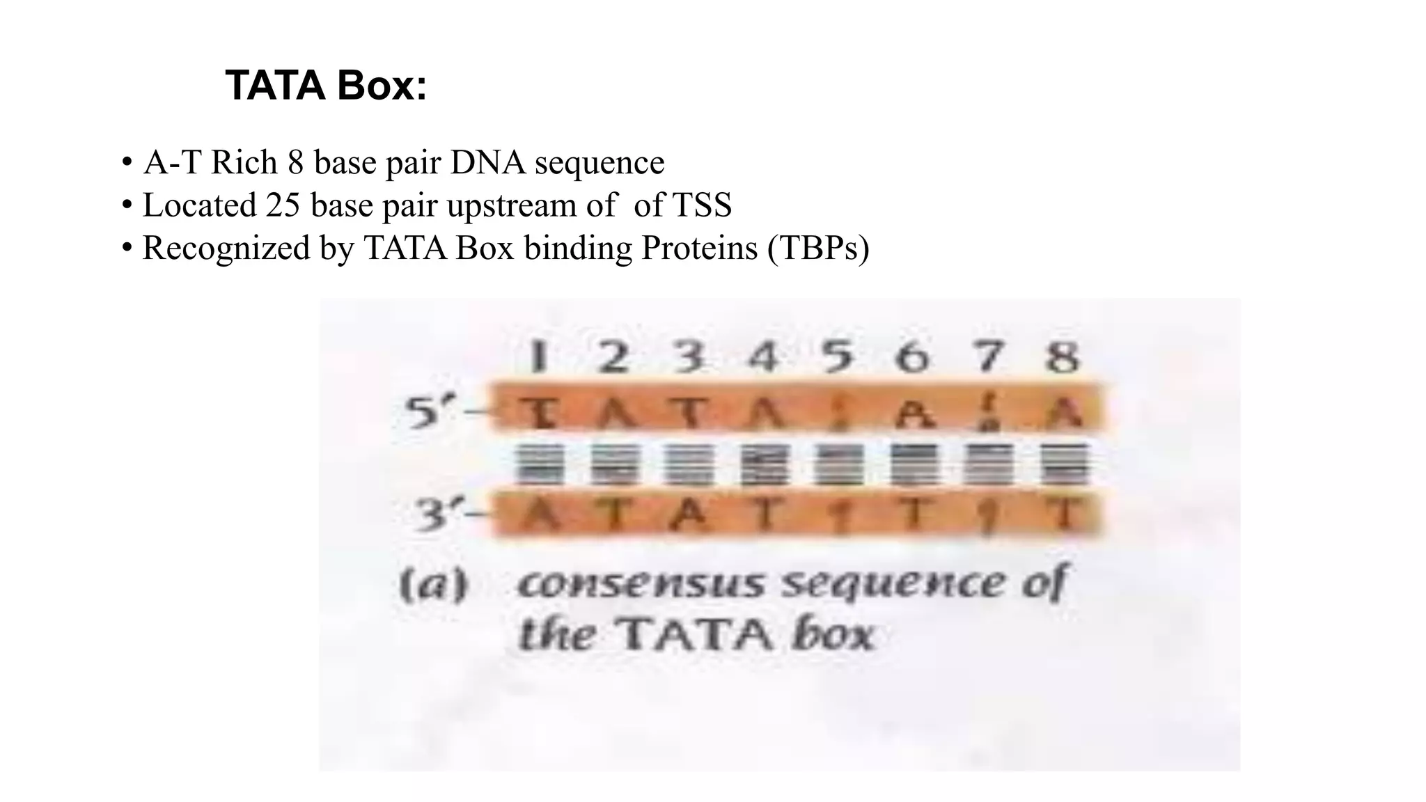 Unit II -examples of protein sec.structure.pptx