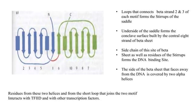 Unit II -examples of protein sec.structure.pptx