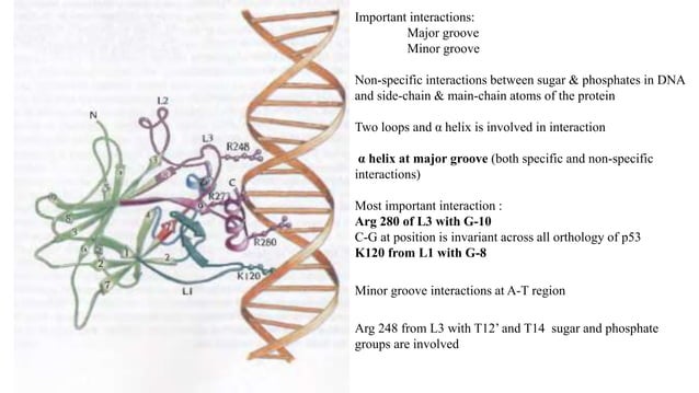 Unit II -examples of protein sec.structure.pptx