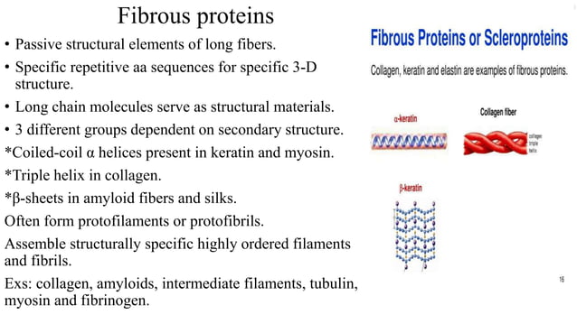 Unit II -examples of protein sec.structure.pptx