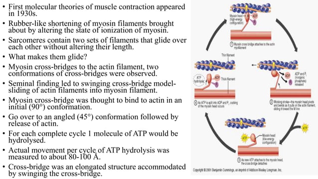 Unit II -examples of protein sec.structure.pptx