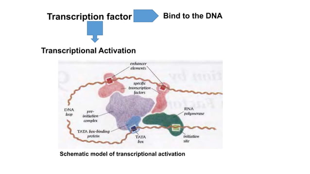 Unit II -examples of protein sec.structure.pptx
