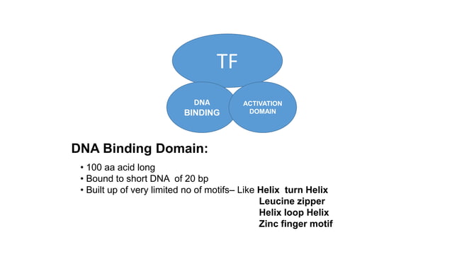 Unit II -examples of protein sec.structure.pptx
