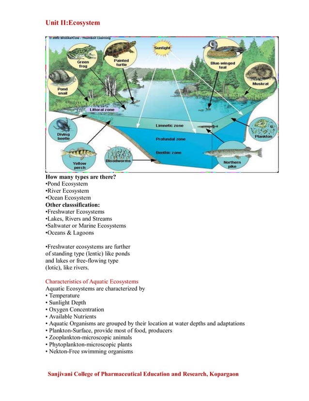 Forest and Aquatic Ecosystem.pdf