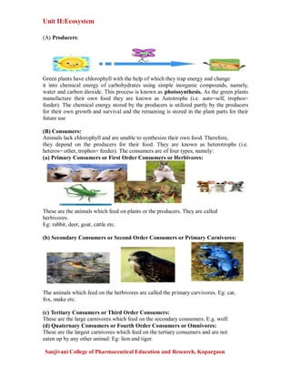 Forest and Aquatic Ecosystem.pdf