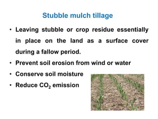 Minimal Tillage Practices.pptx