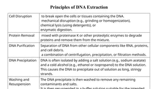 Comprehensive Overview of Nucleotides, Nucleic Acids, and Protein ...
