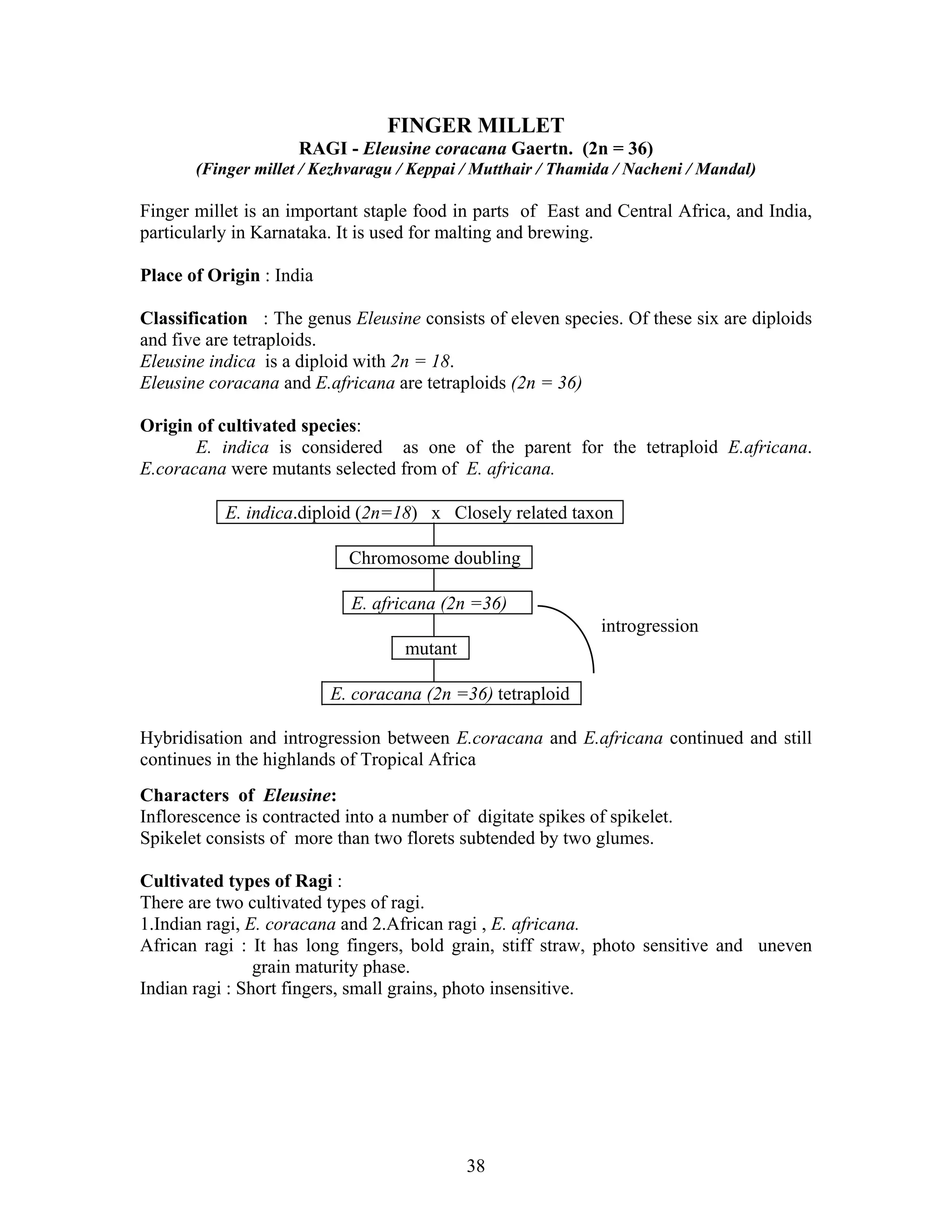 origin of ragi | PDF